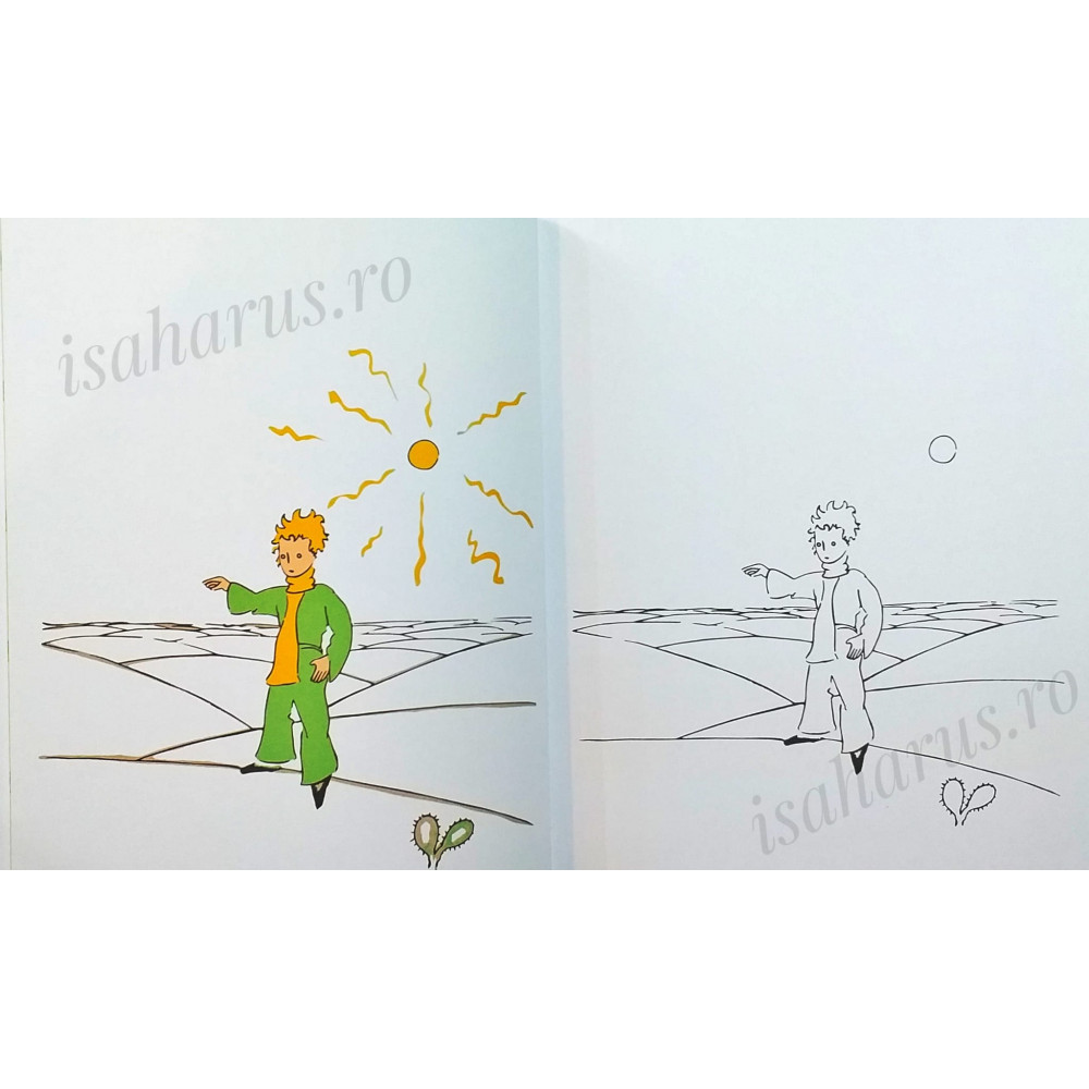 Micul prinț. Carte de colorat cu 40 de desene și activități
